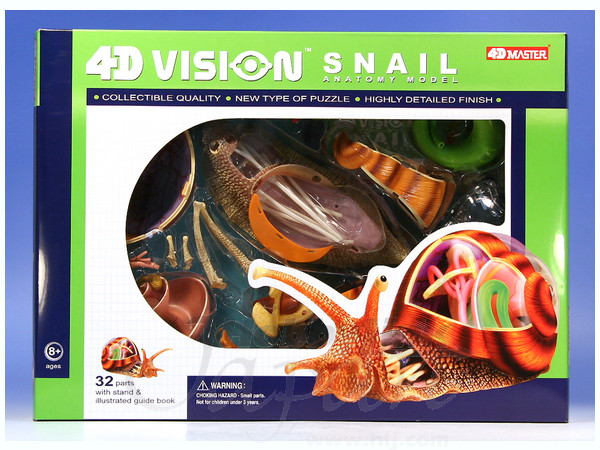 4D Vision Snail Model by Aoshima | HobbyLink Japan