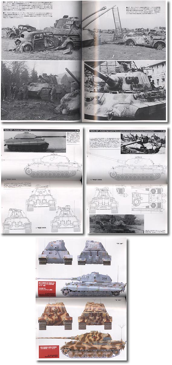 King Tiger Drawing #1 | HLJ.com