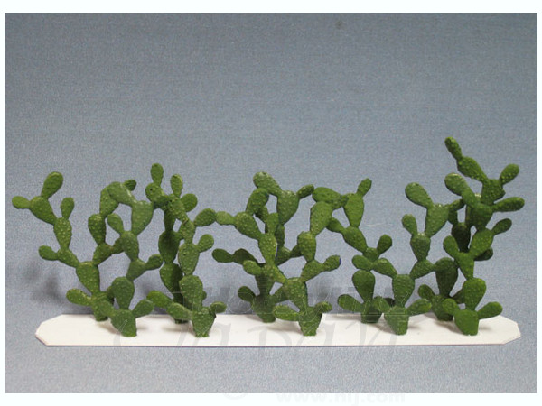 Cactus Set | HLJ.com