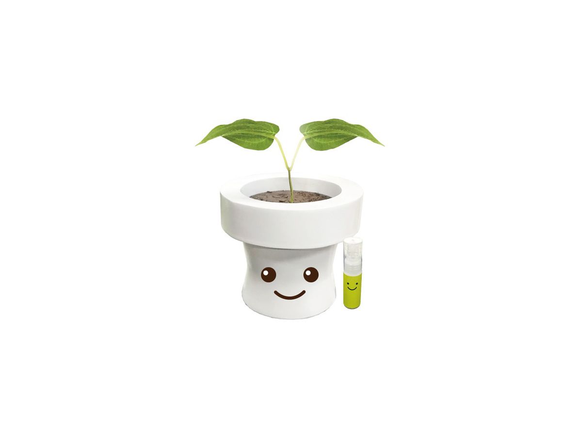 Talking Flower Pot (White) | HLJ.com