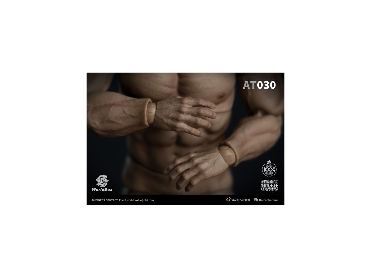 1/6 [WB-AT030] Durable Huge Muscular Male Body | HLJ.co.jp